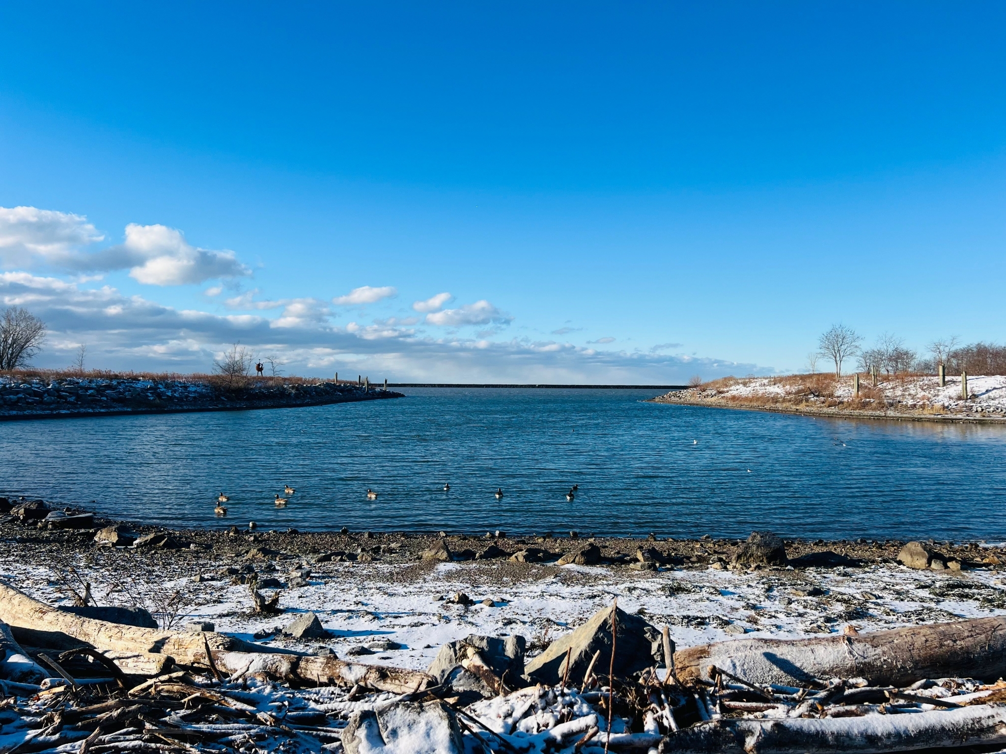Outer Harbor in Buffalo, NY | Buffalo Waterfront